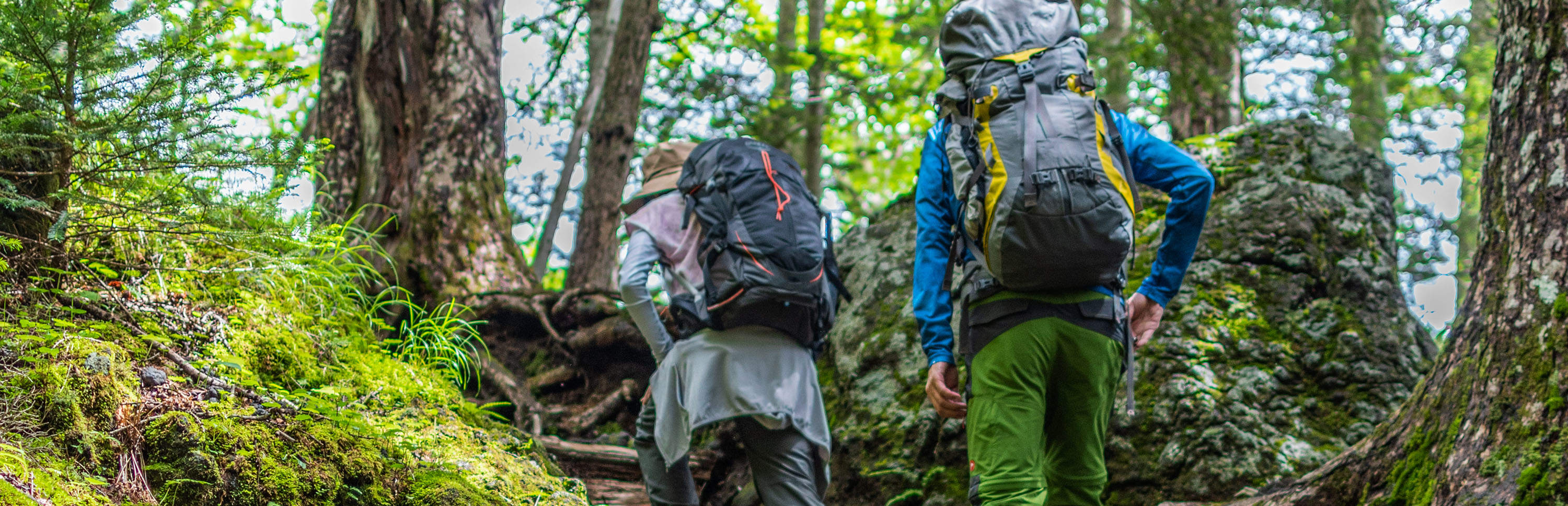 Mt. Fuji Hiking One-Day Tour: 5th to 7th Station from Shinjuku - Klook